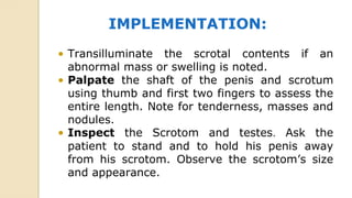 Genitourinary Assessment.pptx