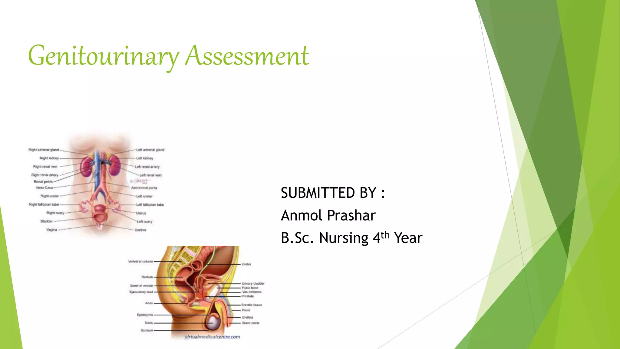 Genitourinary Examination.pptx