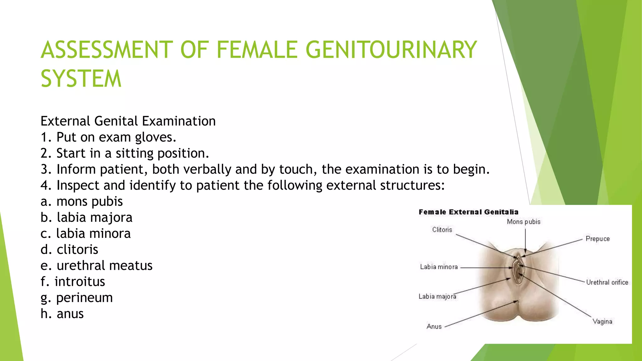 Genitourinary Examination.pptx