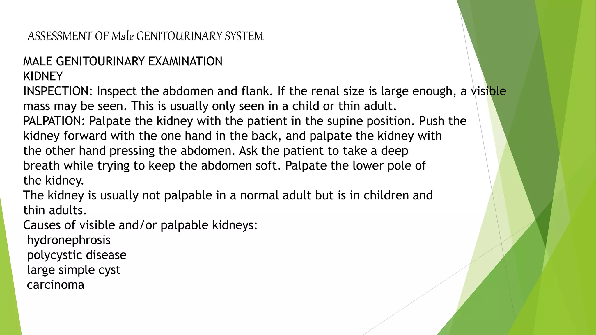 Genitourinary Examination.pptx
