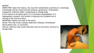 Genitourinary Examination.pptx