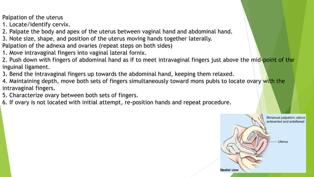 Genitourinary Examination.pptx | Sexual Conditions | Sexual Health