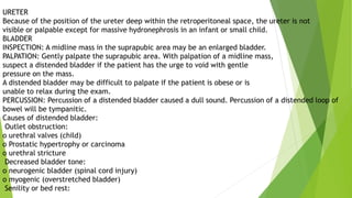 Genitourinary Examination.pptx