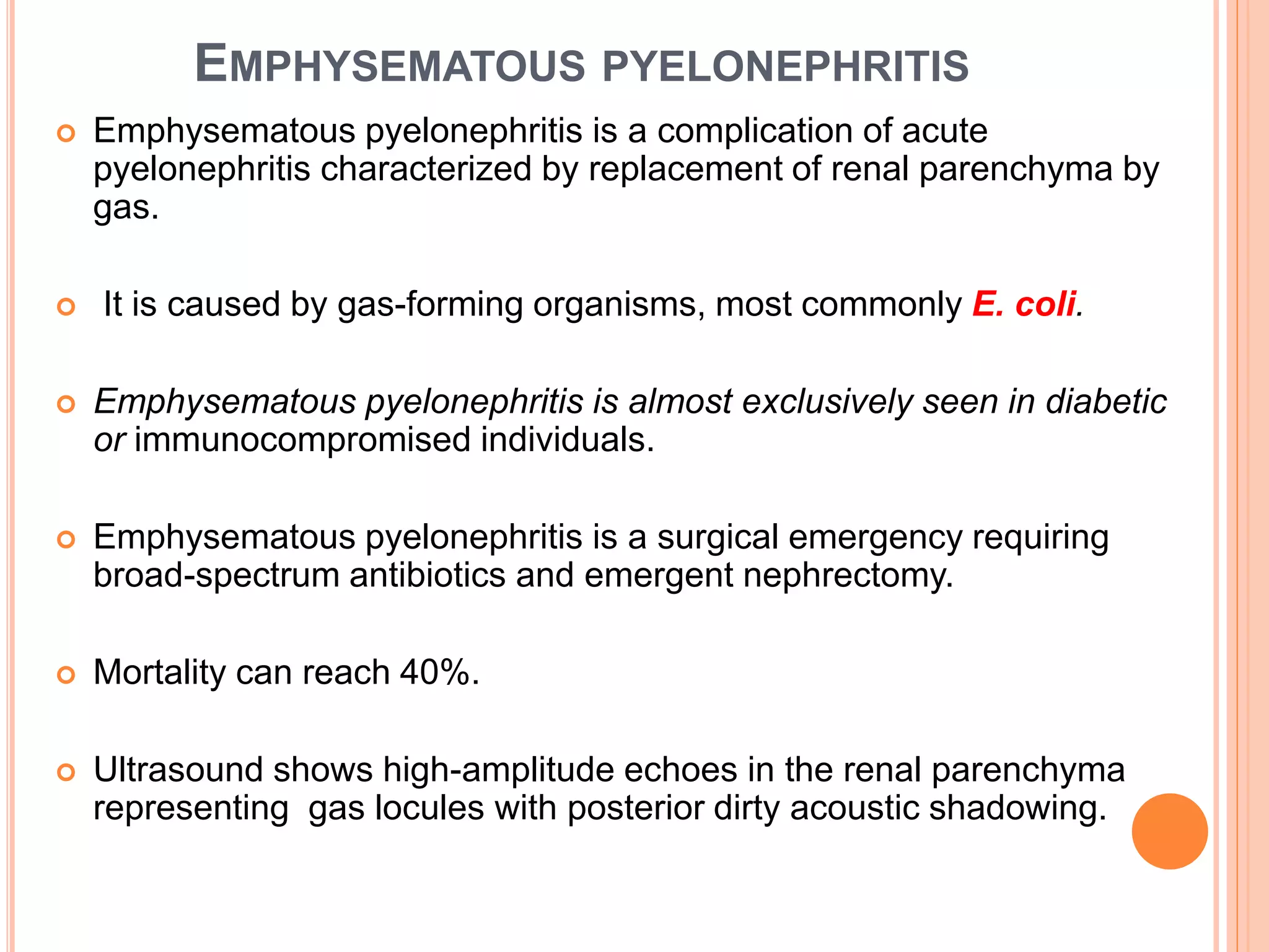 genitourinary infection radiology.pptx