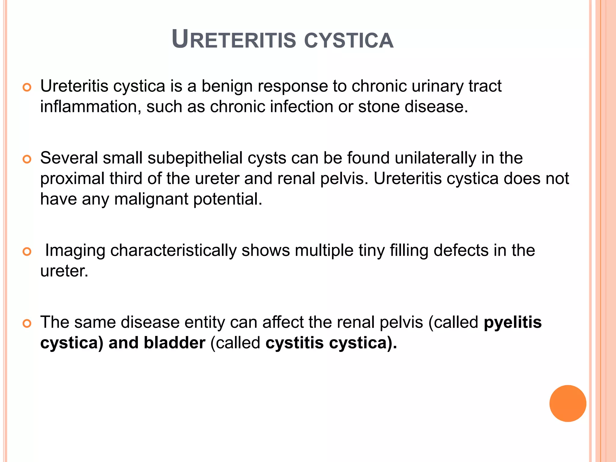 genitourinary infection radiology.pptx