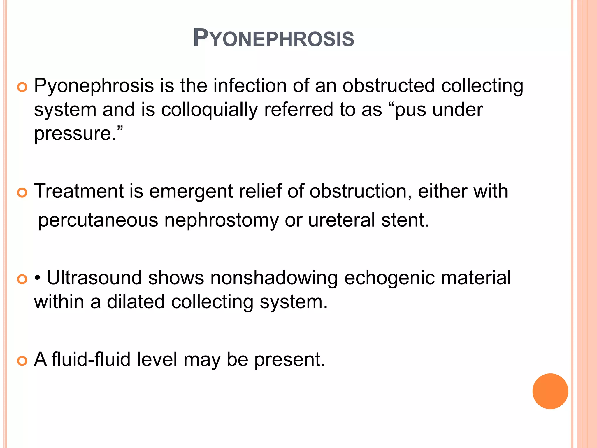 genitourinary infection radiology.pptx