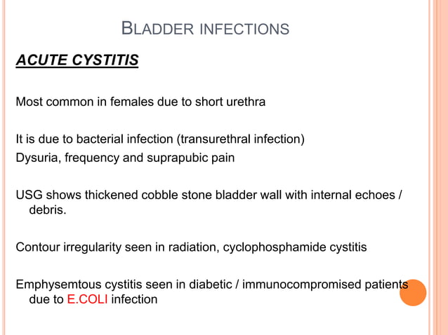 genitourinary infection radiology.pptx