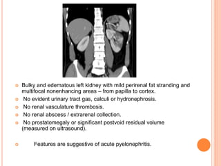genitourinary infection radiology.pptx