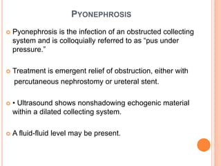 genitourinary infection radiology.pptx