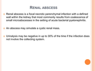 genitourinary infection radiology.pptx