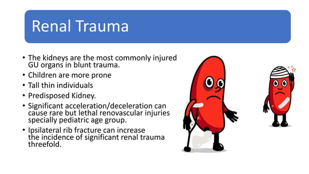 Trauma to Urinary Tract/ Urinary Tract Injury | PPT