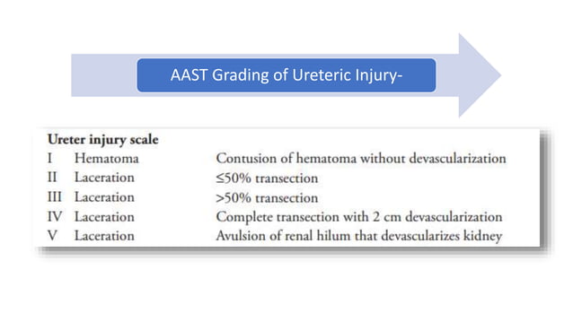 Trauma to Urinary Tract/ Urinary Tract Injury | PPT