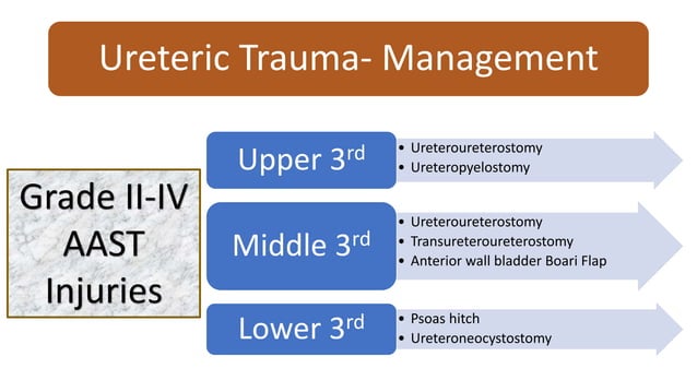 Trauma to Urinary Tract/ Urinary Tract Injury | PPT
