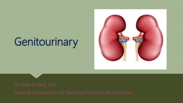 Genitourinary signs.pptx | Reproductive Health | Diseases and Conditions