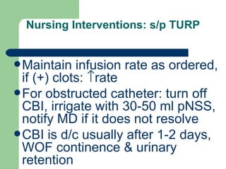 Genitourinary System | PPT