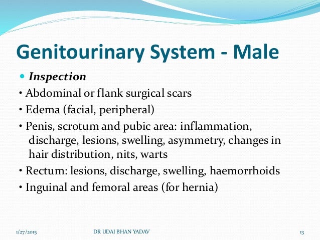 Genitourinary system