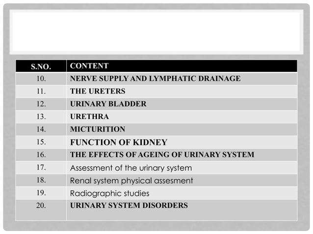 Genitourinary system Anatomy and Physiology. | PPTX