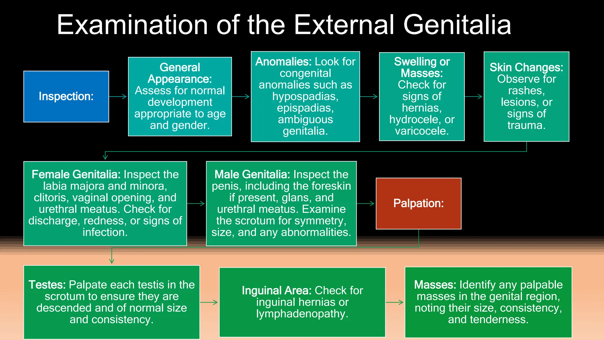APPROACH TO GENITOURINARY SYSTEM, CYSTIC KIDNEY DISEASE AND ...