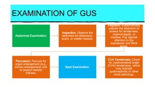 APPROACH TO GENITOURINARY SYSTEM, CYSTIC KIDNEY DISEASE AND ...