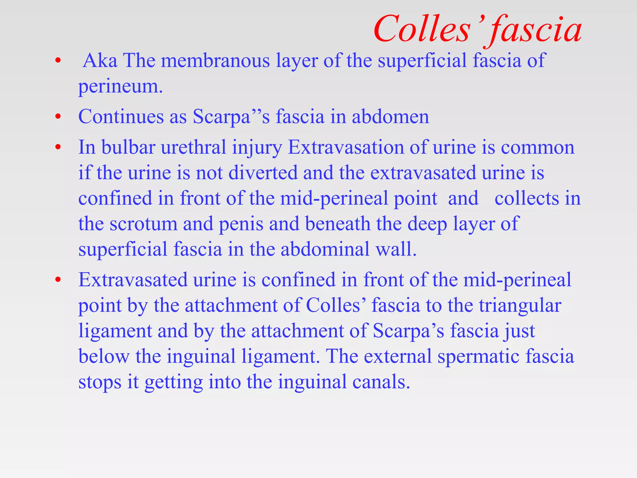 Genitourinary system surgical antomy.pptx