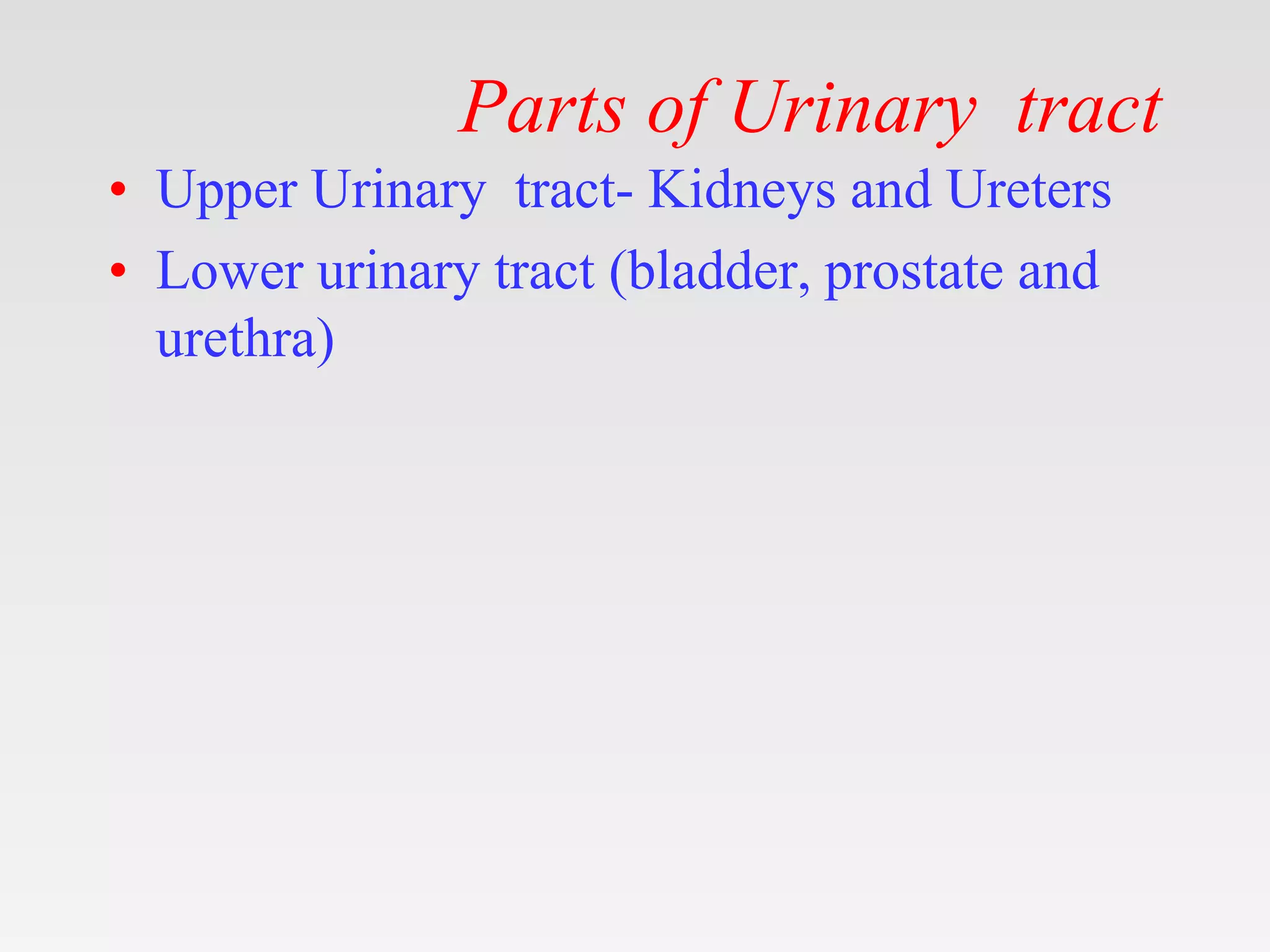Genitourinary system surgical antomy.pptx