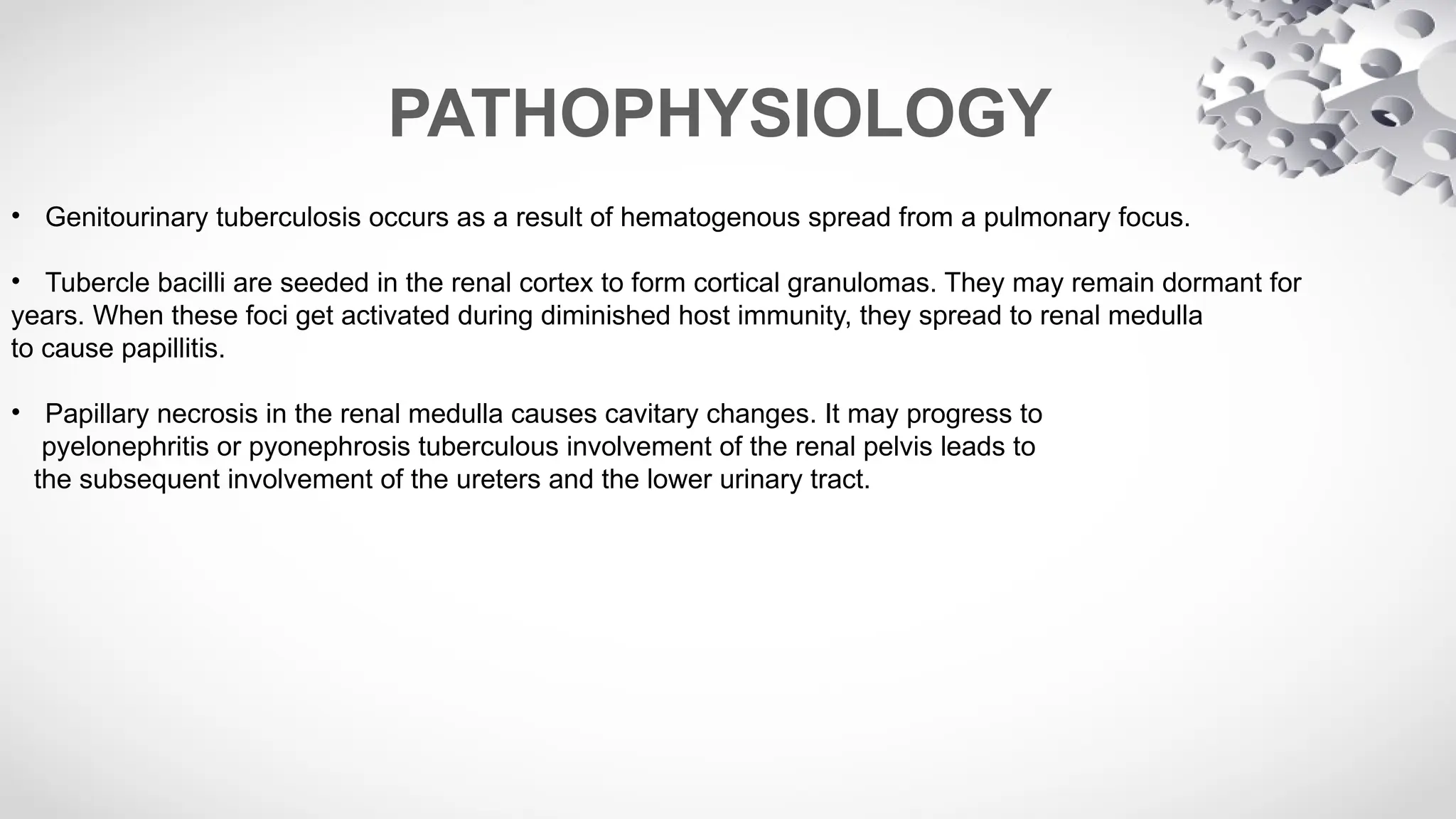 GENITOURINARY TB-approach and management 123.pptx