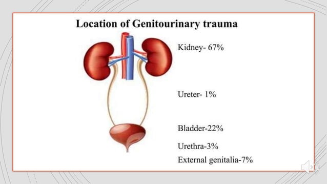 genitourinary trauma.pptx