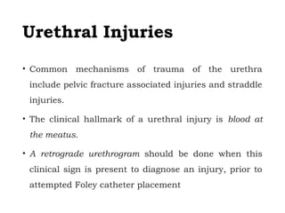 GENITOURINARY TRAUMA (1).pptx approach to trauma | PPTX