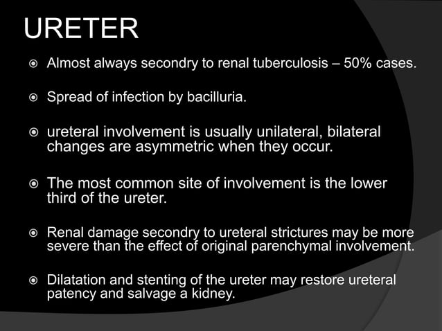 Genito urinary tuberculosis | PPTX | Digestive Disorders | Diseases and Conditions