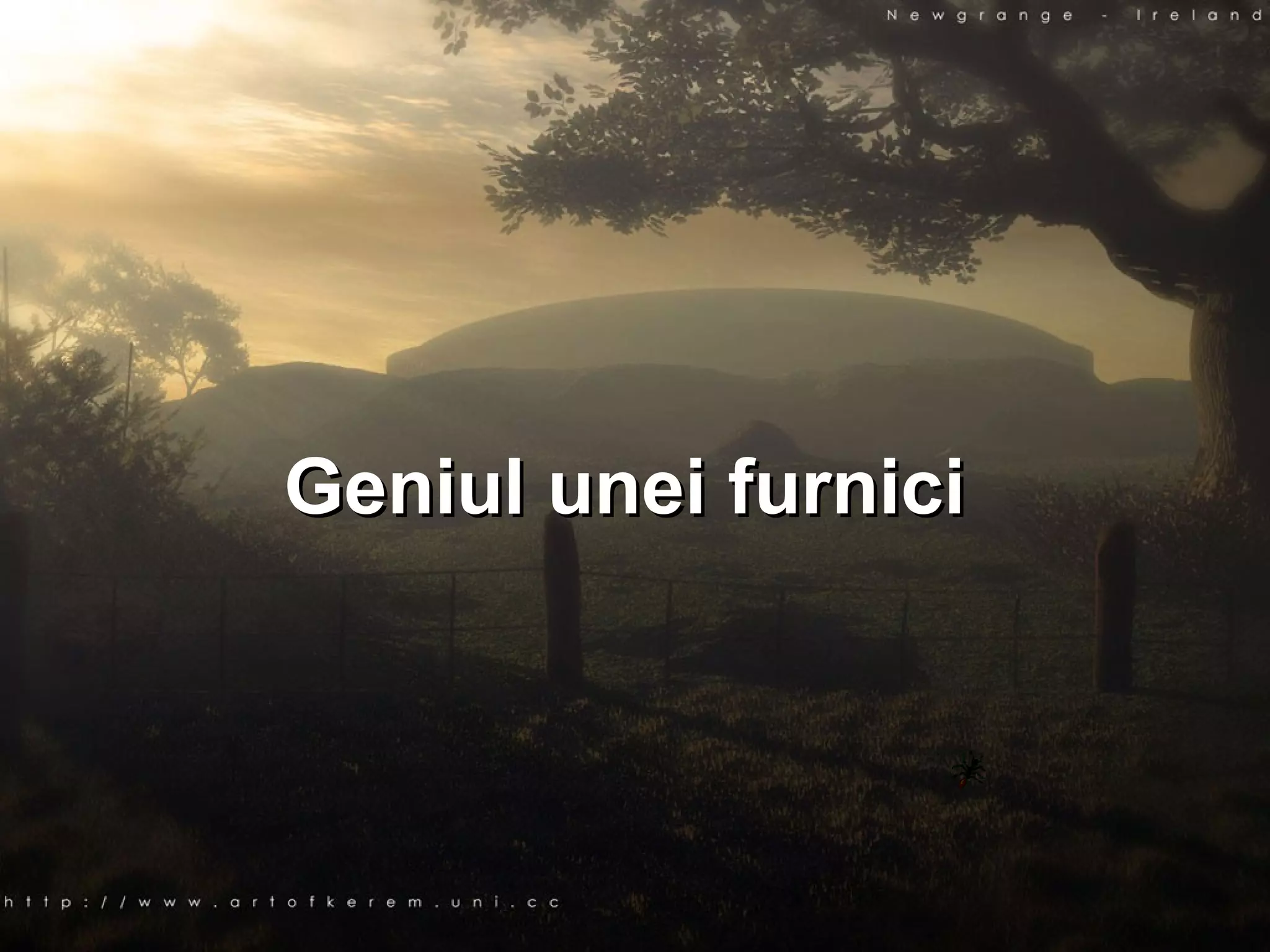 Geniul Furnicii - powerpoint primit pe mail si transformat in slideshow ...