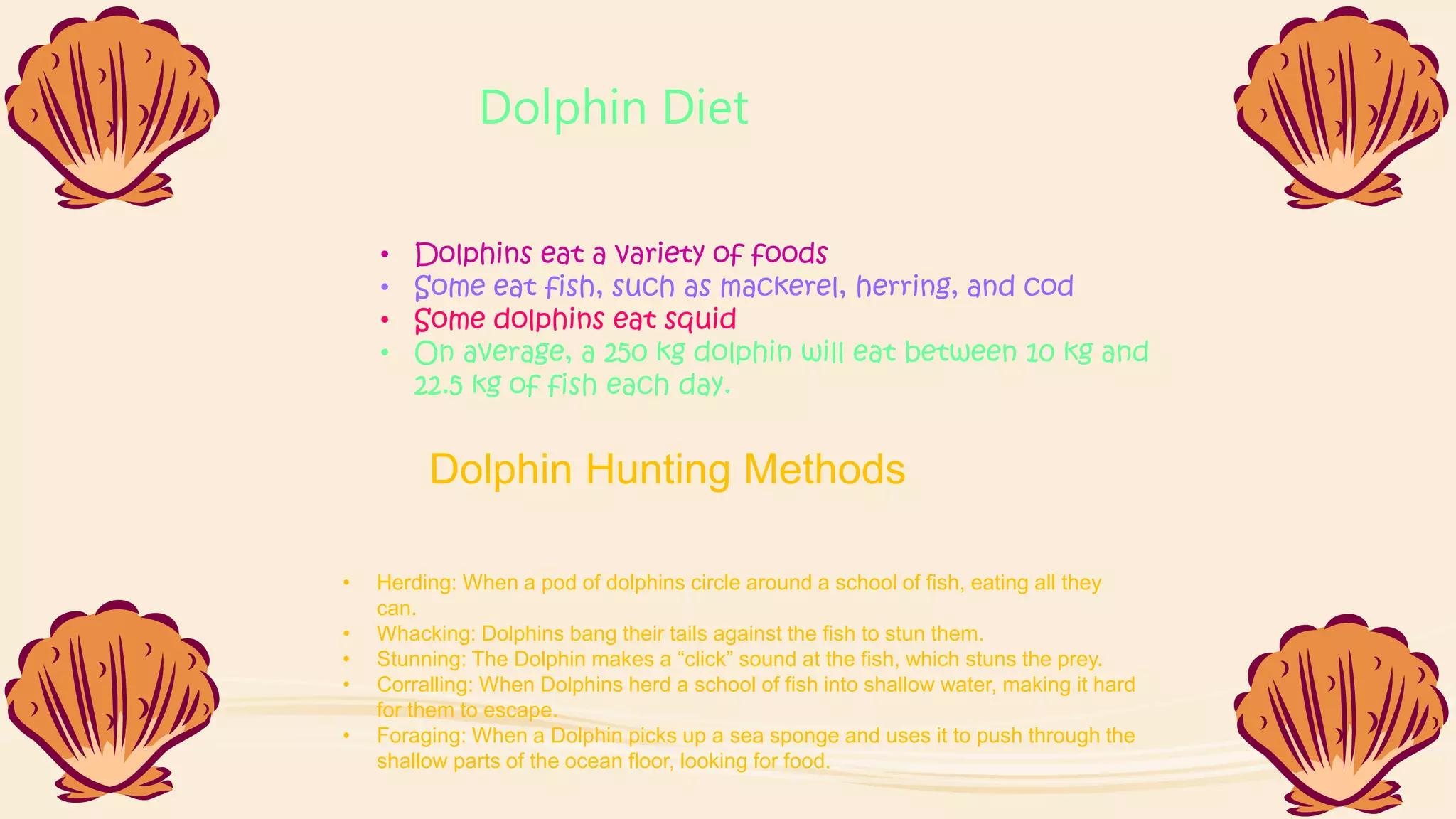 Genius hour dolphins | PPTX