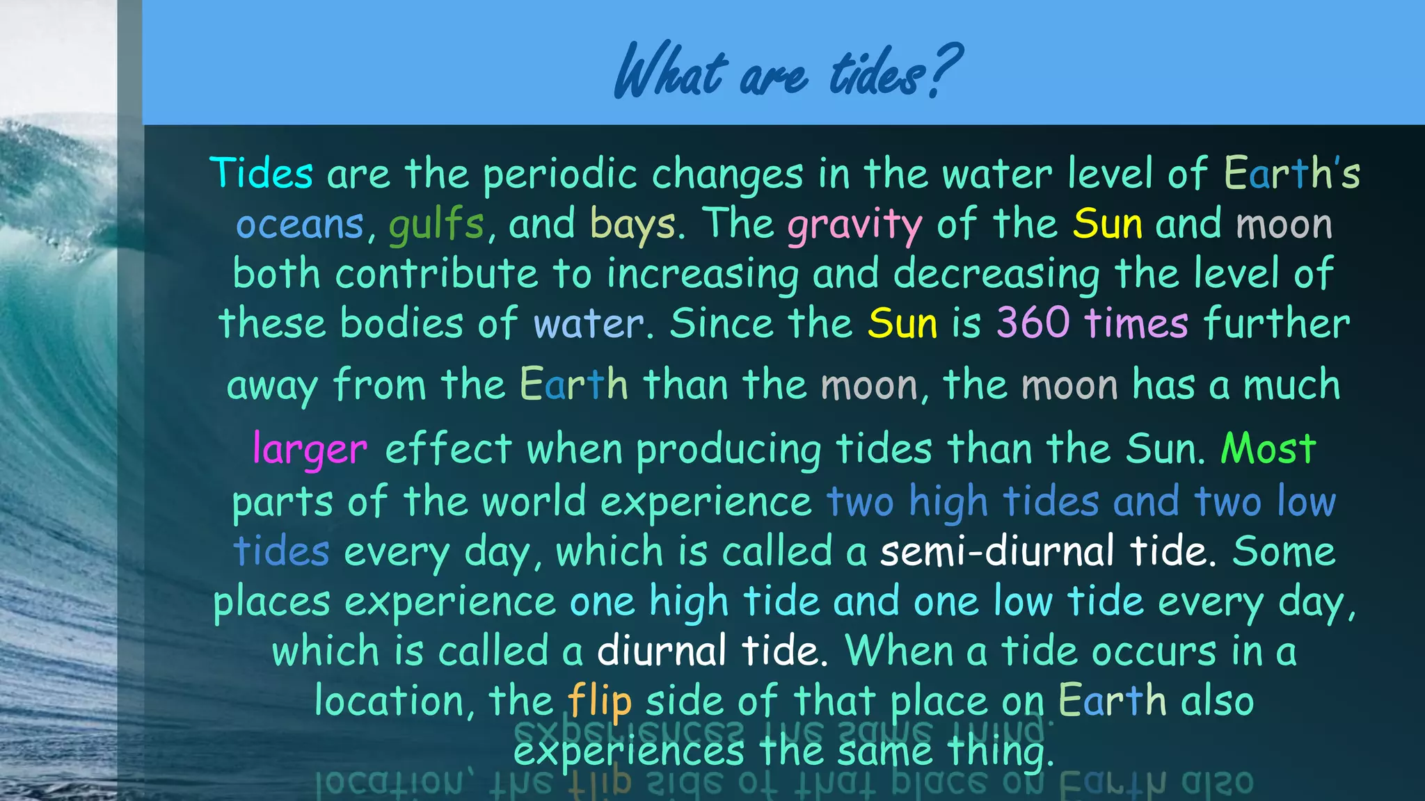 My Genius Hour Project | PPT