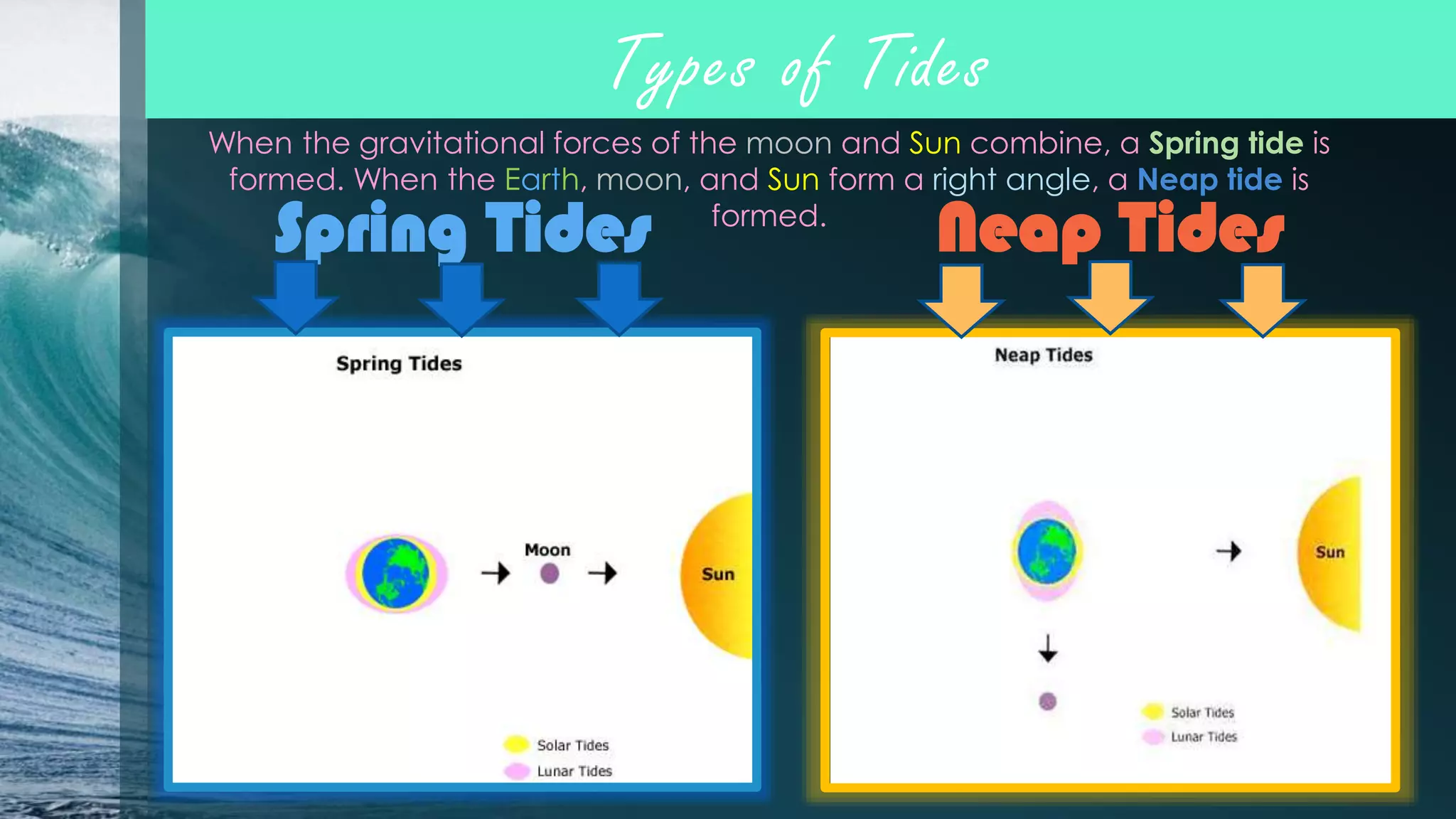 My Genius Hour Project | PPT