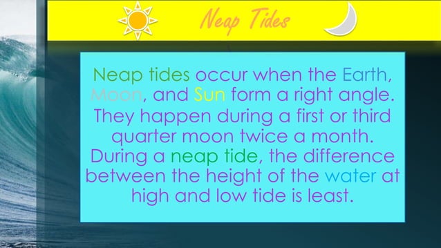 My Genius Hour Project | PPT