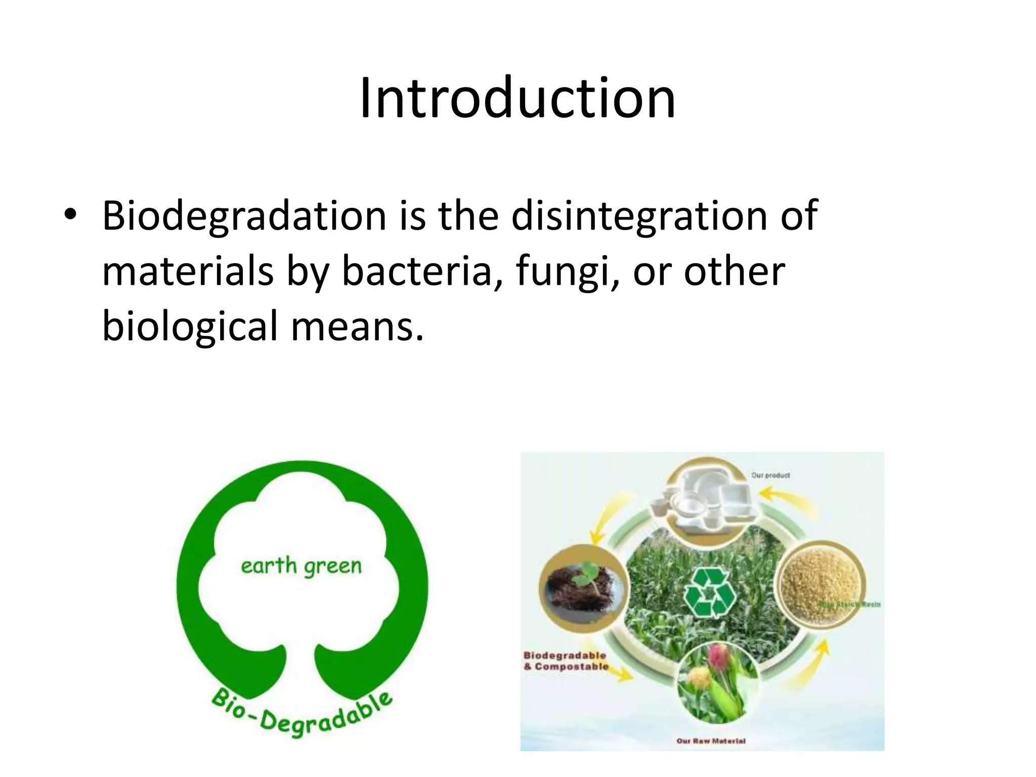 Biodegradable, Eco-Friendly Cans IDM12 | PPT