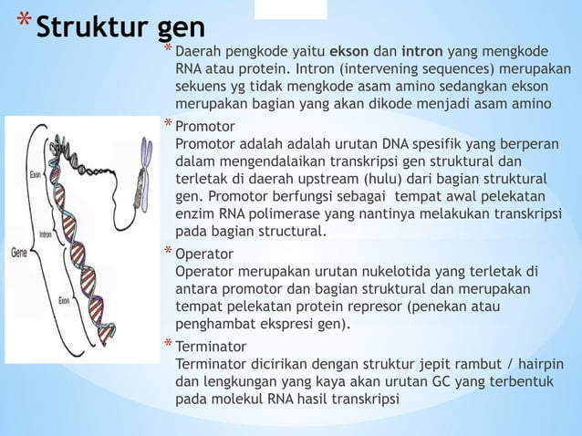 Gen kode genetik, gen, genom, dan kromosom.pptx