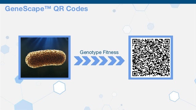 Gennaro D'Urso: PharmaDAO - The future of Medicine | PDF