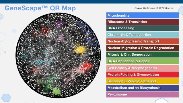 Gennaro D'Urso: PharmaDAO - The future of Medicine | PDF