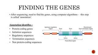 GENOMICS AND BIOINFORMATICS | PPTX
