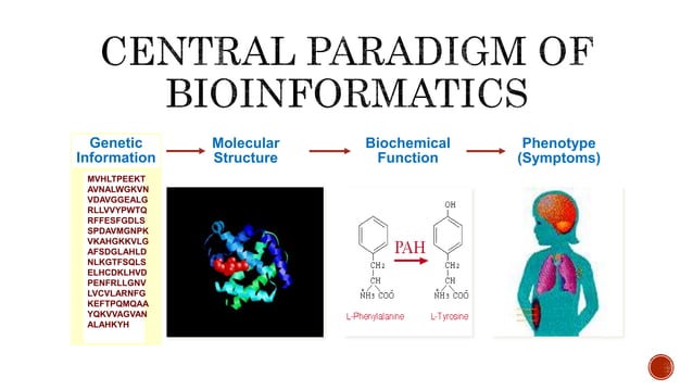 GENOMICS AND BIOINFORMATICS | PPTX | Biological Sciences | Science