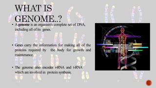 GENOMICS AND BIOINFORMATICS | PPTX