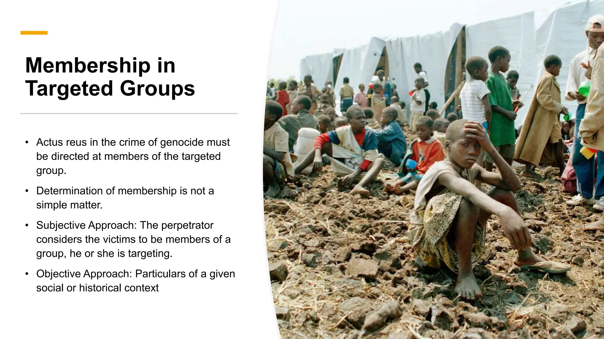 Genocide in International Criminal Law.pptx