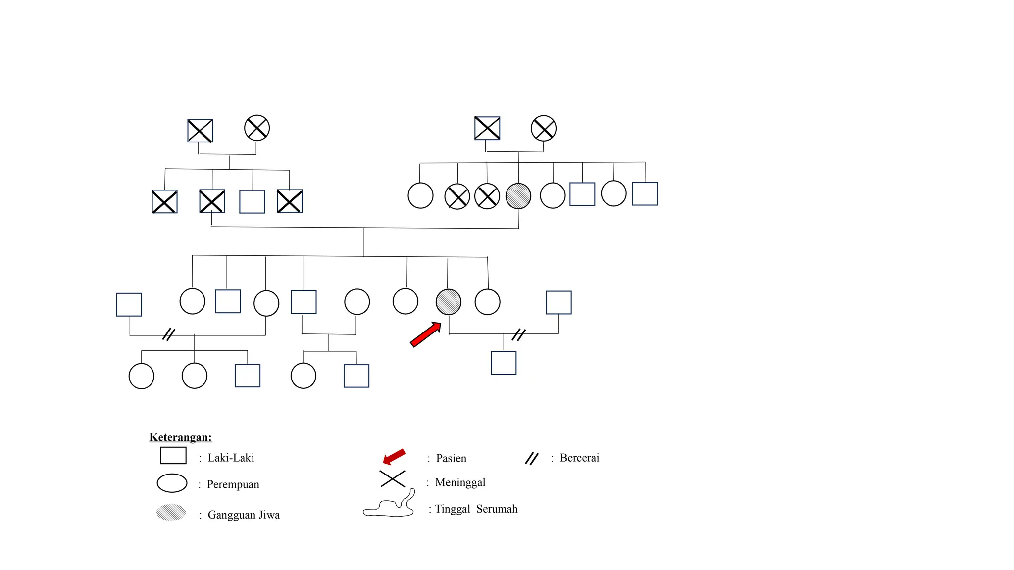 genogram silsilah keluarga untuk di.pptx