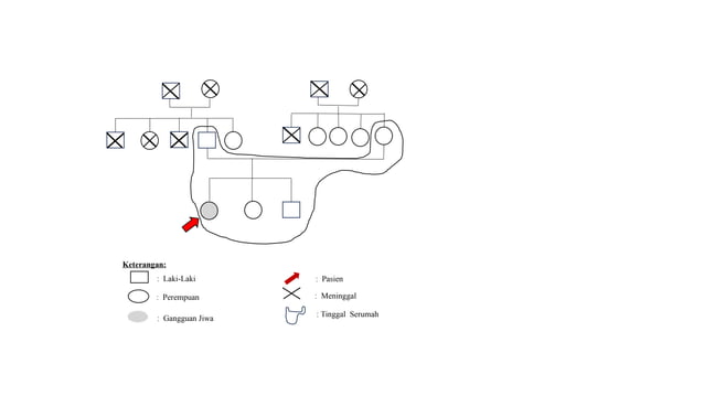 genogram silsilah keluarga untuk di.pptx