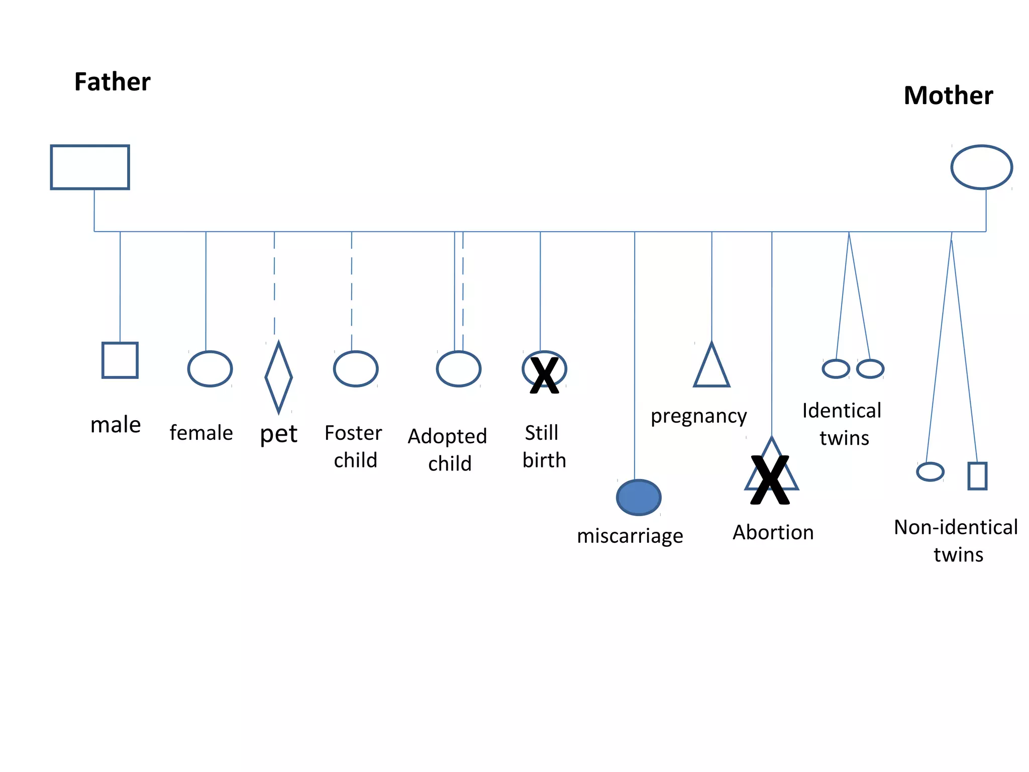 Genogram and ecomap | PPT