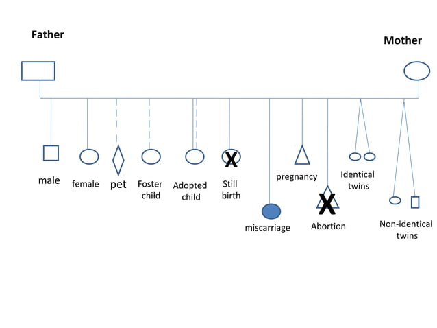 Genogram and ecomap
