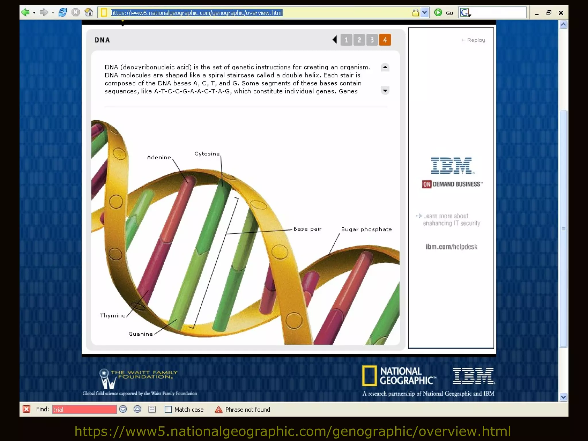 The Genographic Project | PPT