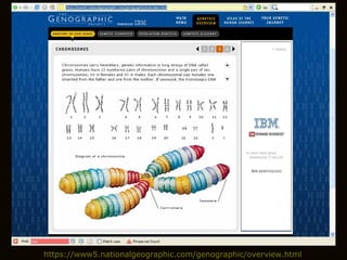 The Genographic Project | PPT