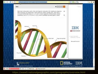 The Genographic Project | PPT