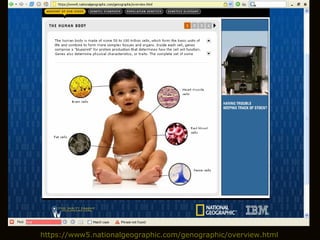 The Genographic Project | PPT